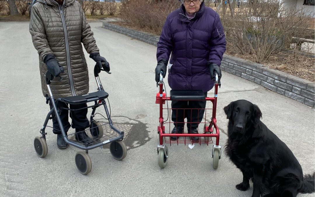 Dooris_1 | Viitakodit