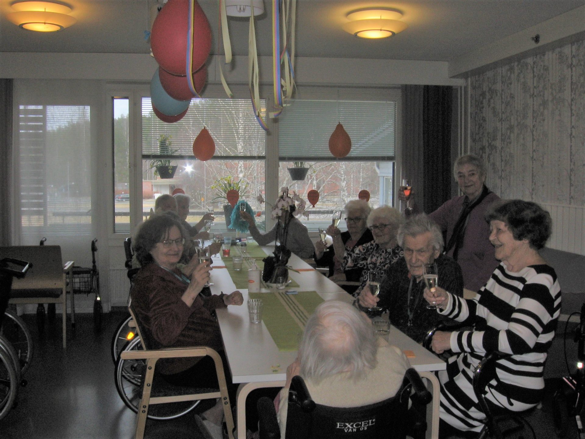 Viitakodin ”vappuhulinat” | Viitakodit