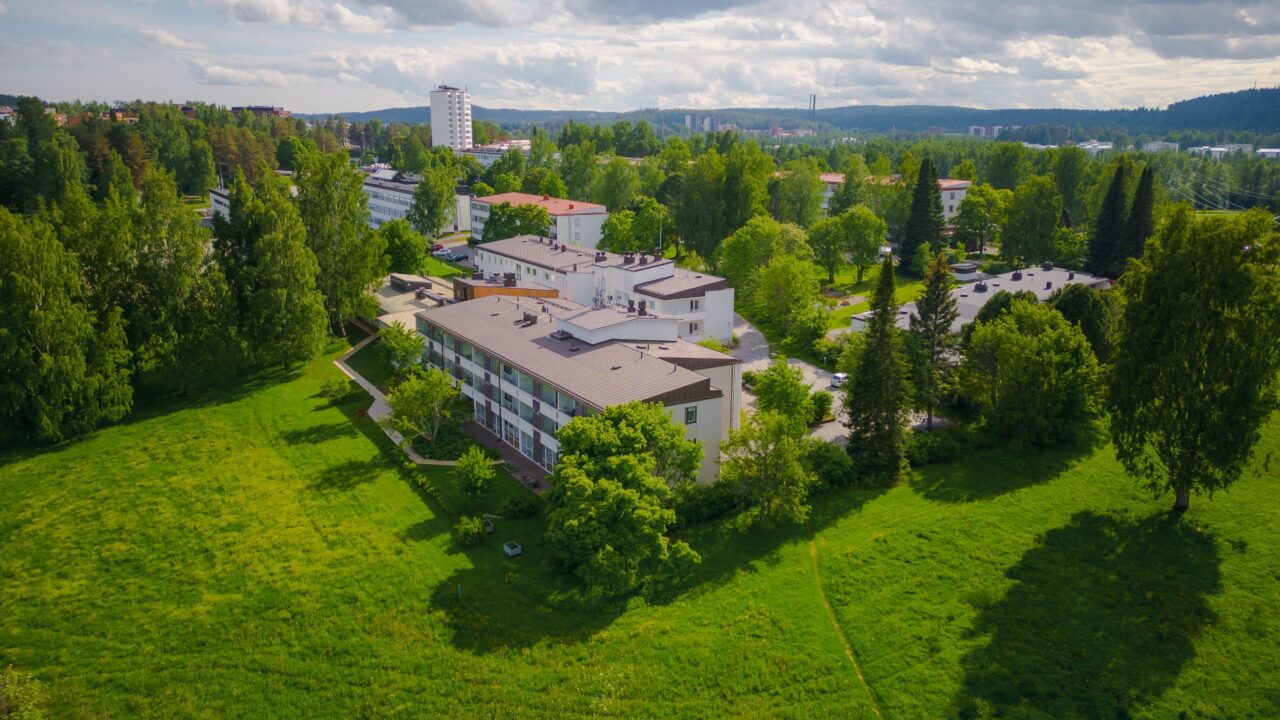 Viitakodin pihapuuhia | Viitakodit